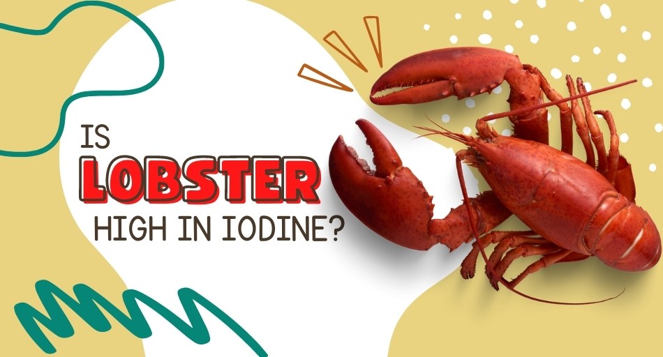 Is Lobster high in iodine?