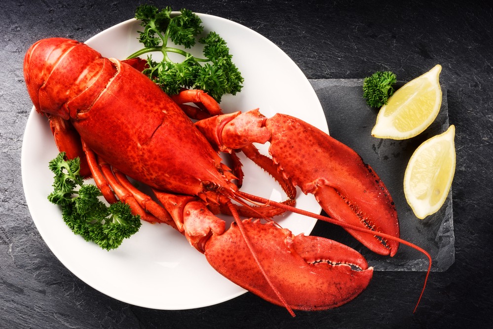 Is lobster meat considered a delicacy?