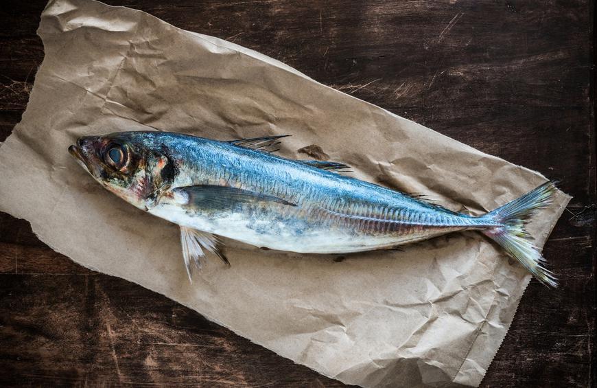 Is mackerel dangerous to eat?