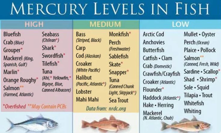Is mackerel high in heavy metals?