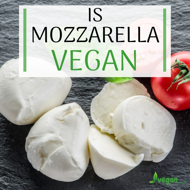 Is mozzarella vegetarian?