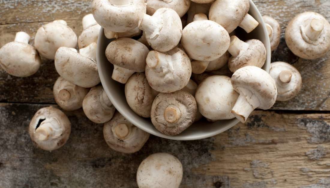 Is Mushroom good for high blood sugar?