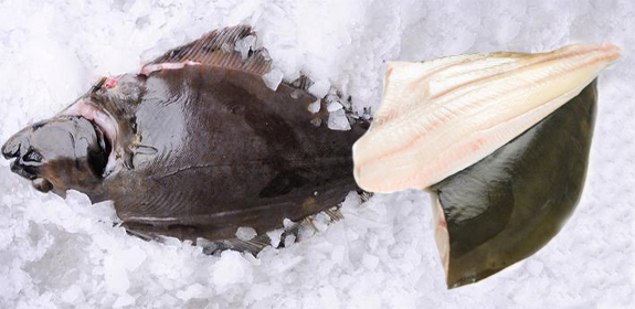 Is Nova Scotia halibut farmed?