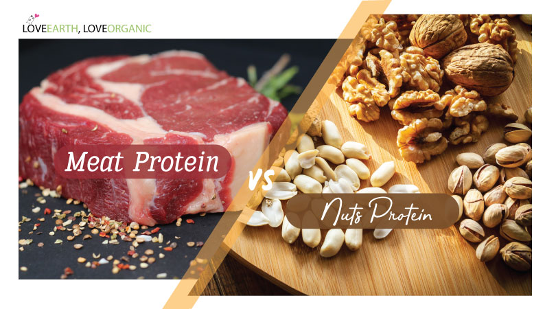 Is nut protein the same as meat protein?