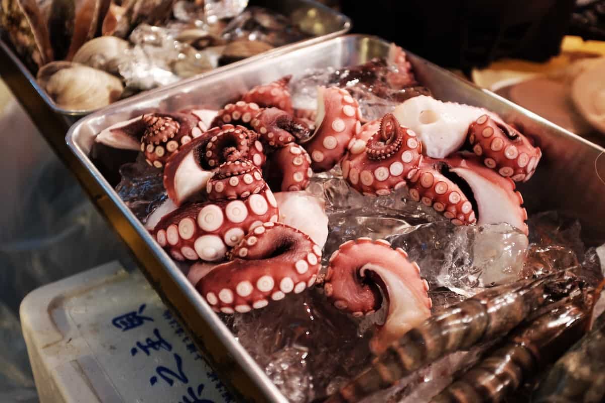 Is octopus fishy tasting?