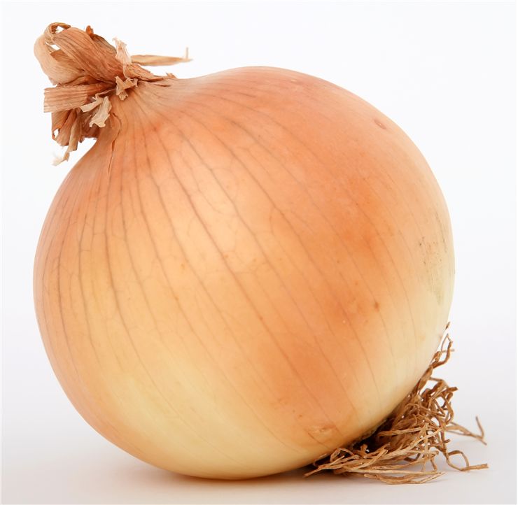 Is onion of Indian origin?