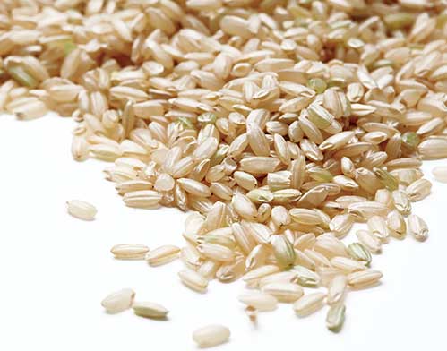 Is organic brown rice protein safe?
