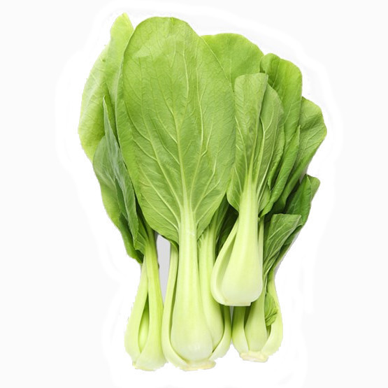 Is pak choi a Chinese cabbage?