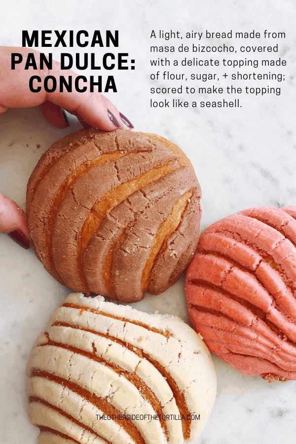 Is pan dulce and concha the same?