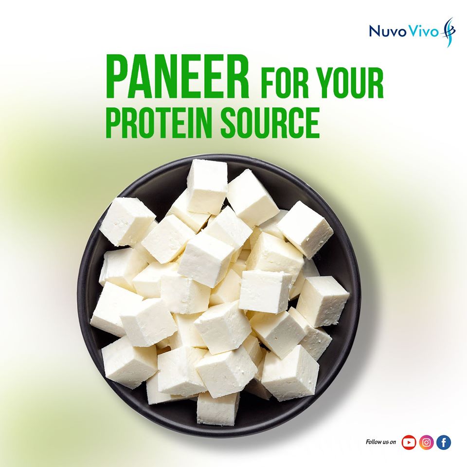 Is paneer a dairy or protein?