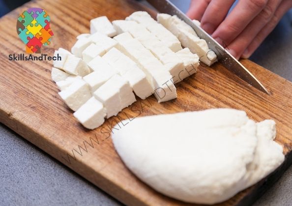 Is paneer business profitable in India?