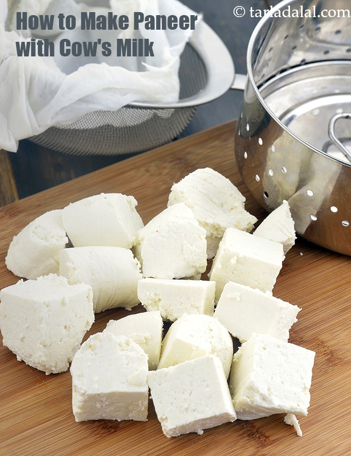 Is paneer made from cow's milk?