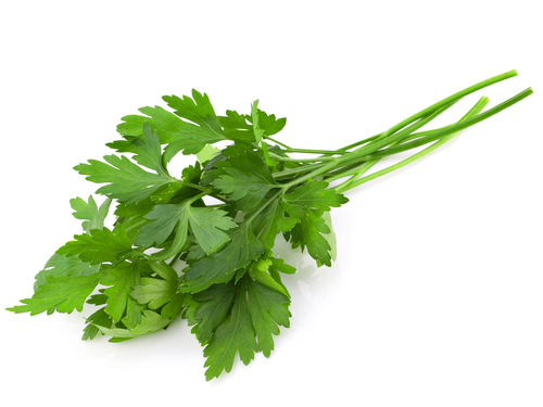 Is parsley for Italian food?