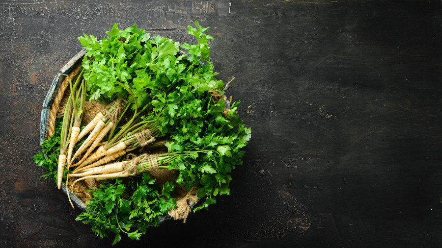 Is parsley good for the garden?