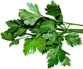 Is parsley leaves a herb?