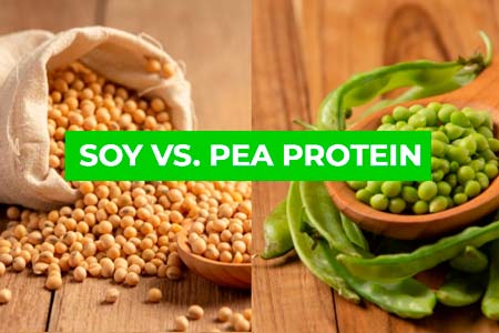 Is pea protein considered soy?