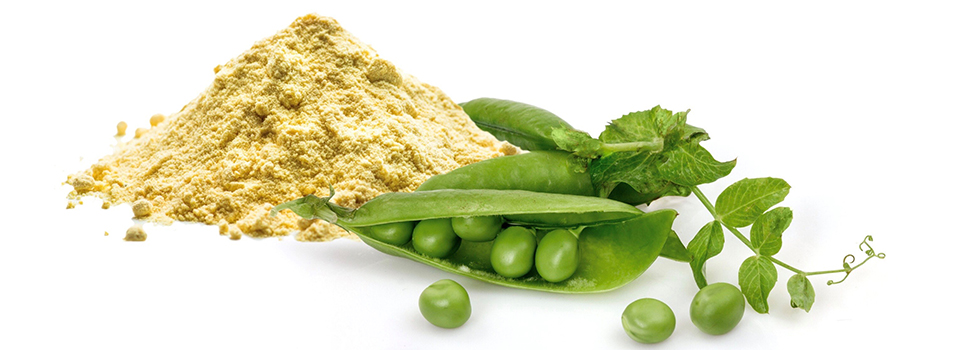 Is pea protein more sustainable?