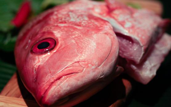 Is pink Cod safe to eat?