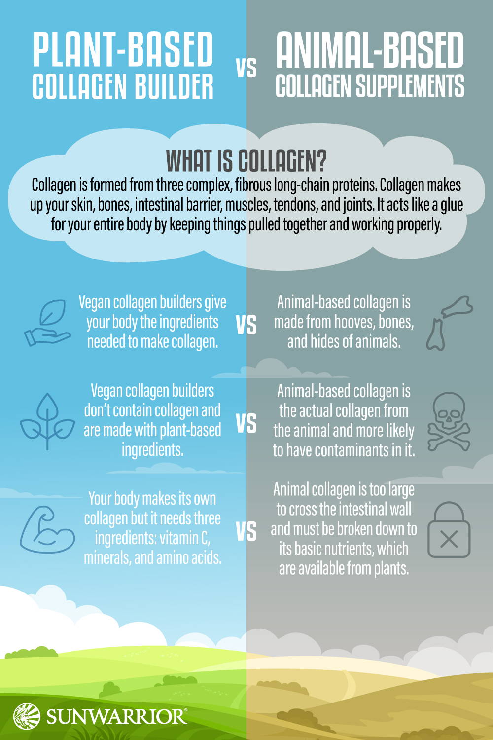 Is plant-based collagen as effective?