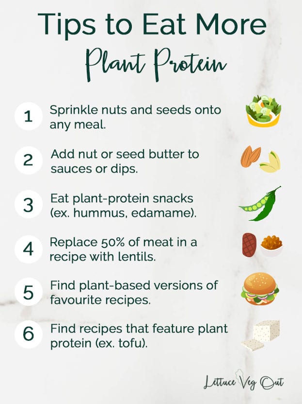 Is plant-based protein better than meat based protein?