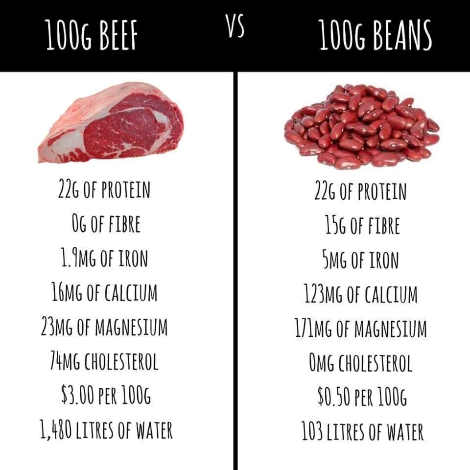 Is plant iron better than meat iron?