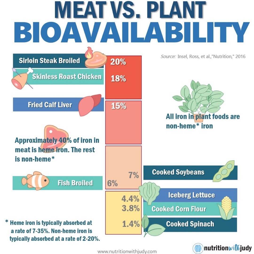 Is plant or animal protein more bioavailable?