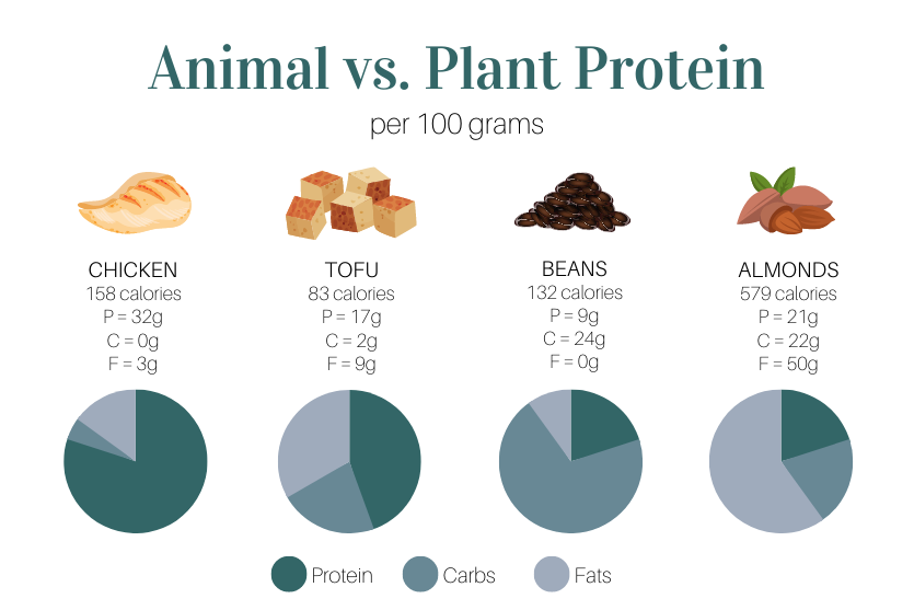 Is plant protein just as good as animal protein?