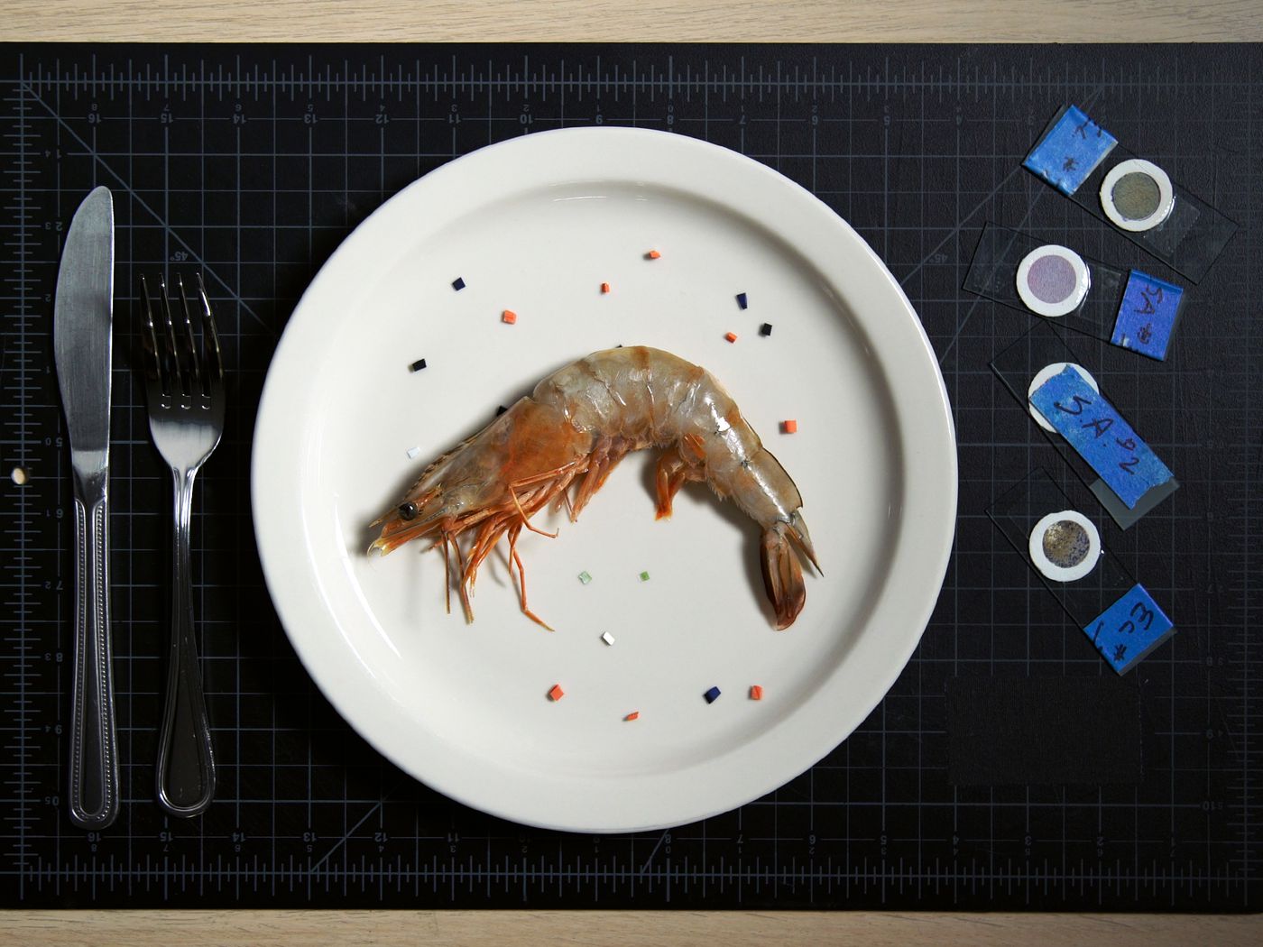 Is plastic coated shrimp safe to eat?