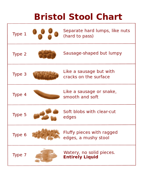 Is pooping for 30 minutes normal?