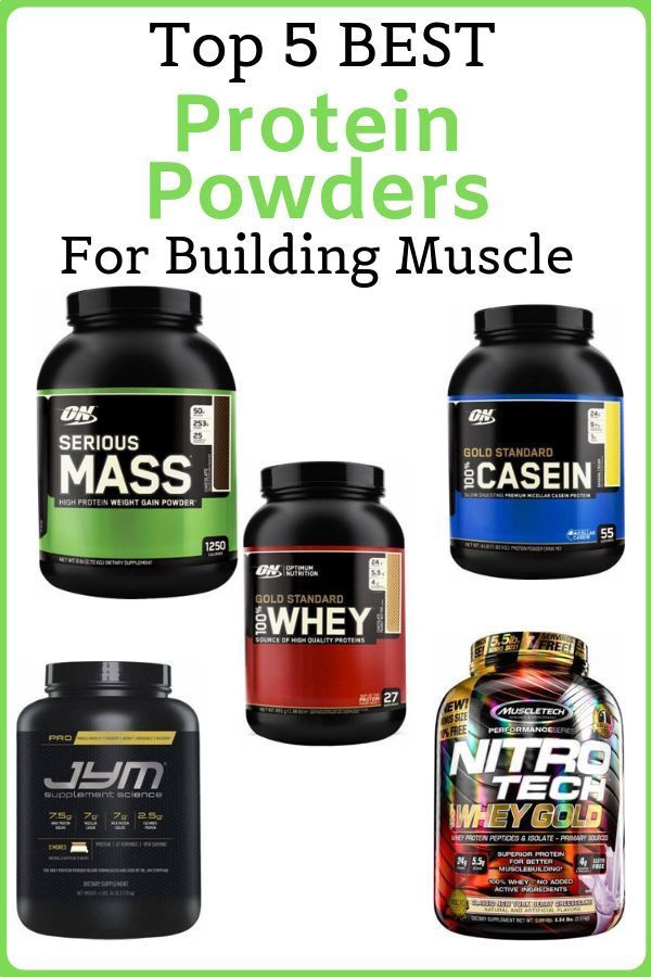 Is protein powder good for muscle gain?