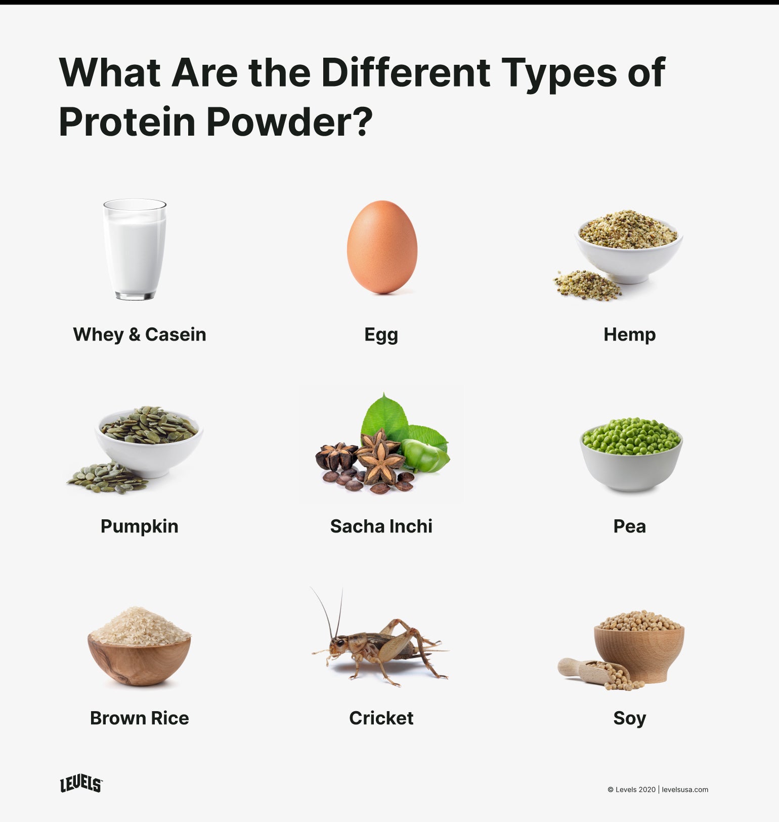 Is protein powder the same as protein?