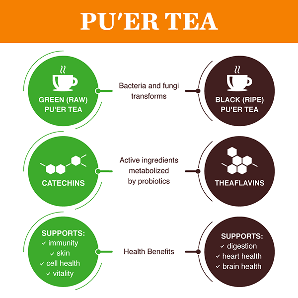 Is pu-erh tea healthier than green tea?