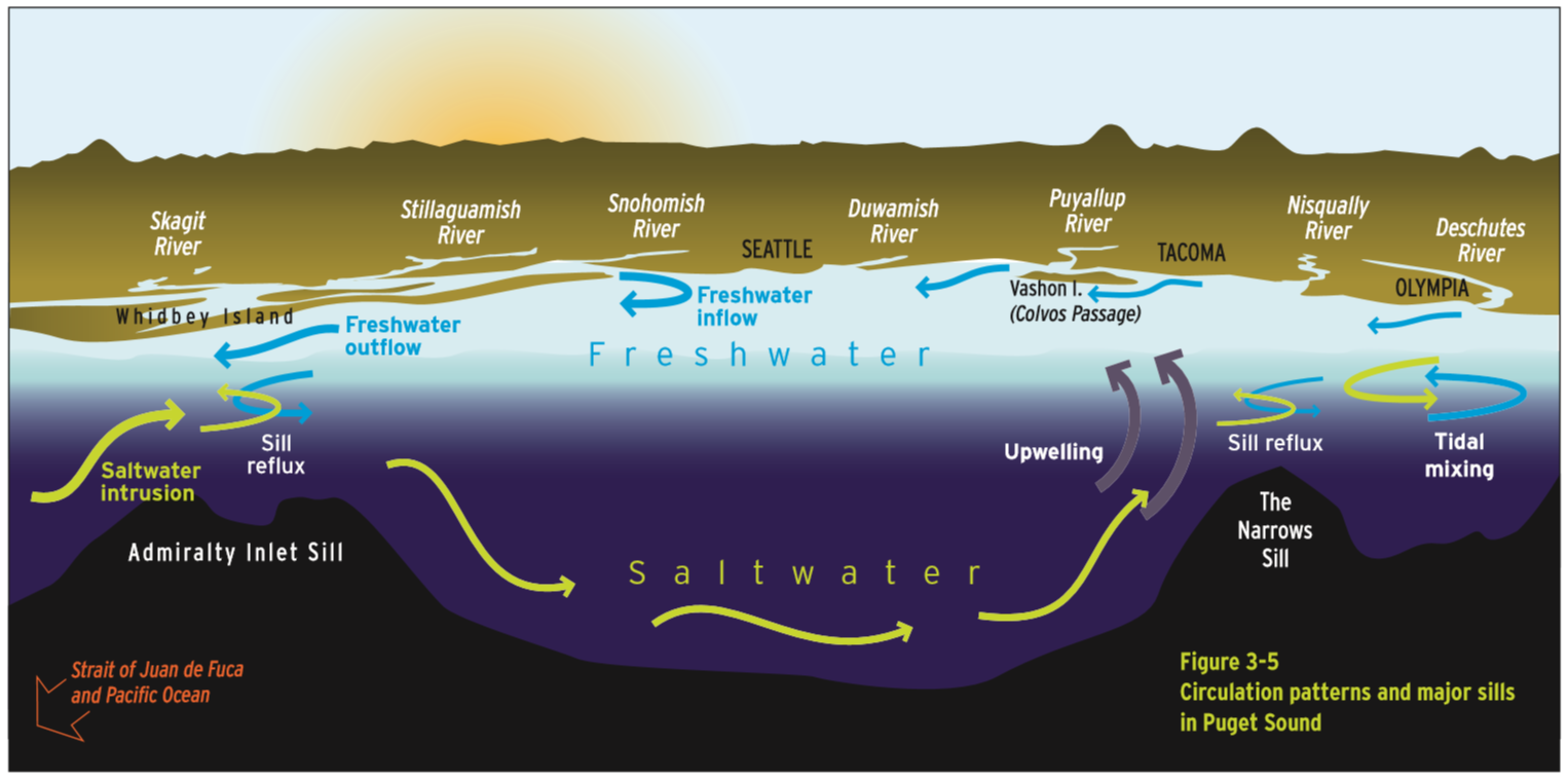 Is Puget Sound saltwater or freshwater?