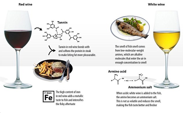 Is red or white wine better for seafood?