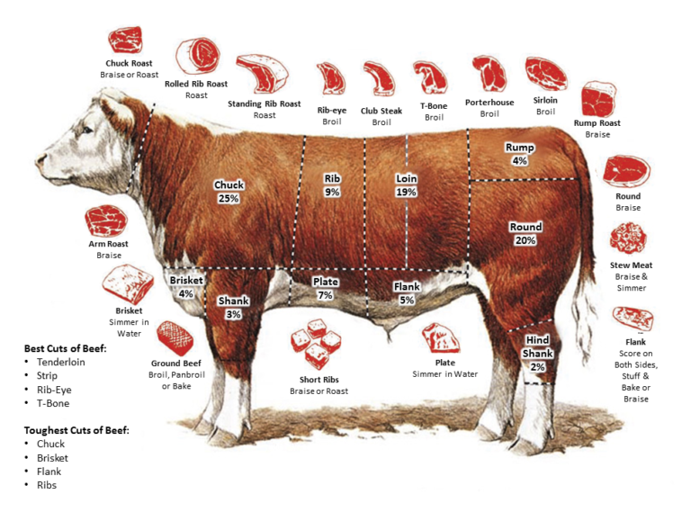 Is ribeye best cut of meat?