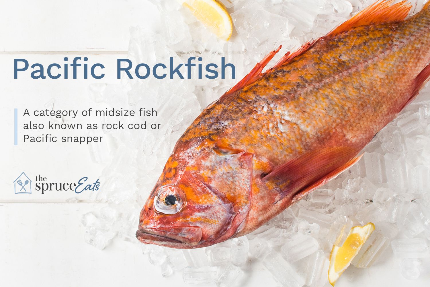 Is rockfish the same as snapper?