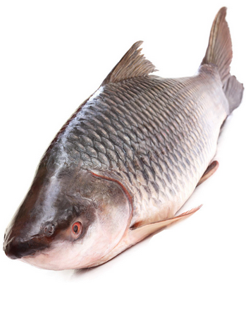 Is Rohu fish good for cholesterol?