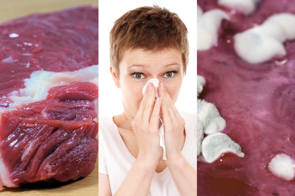 Is rotten meat smell toxic?
