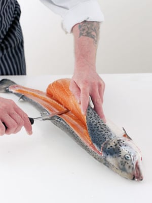 Is salmon a flat fish?