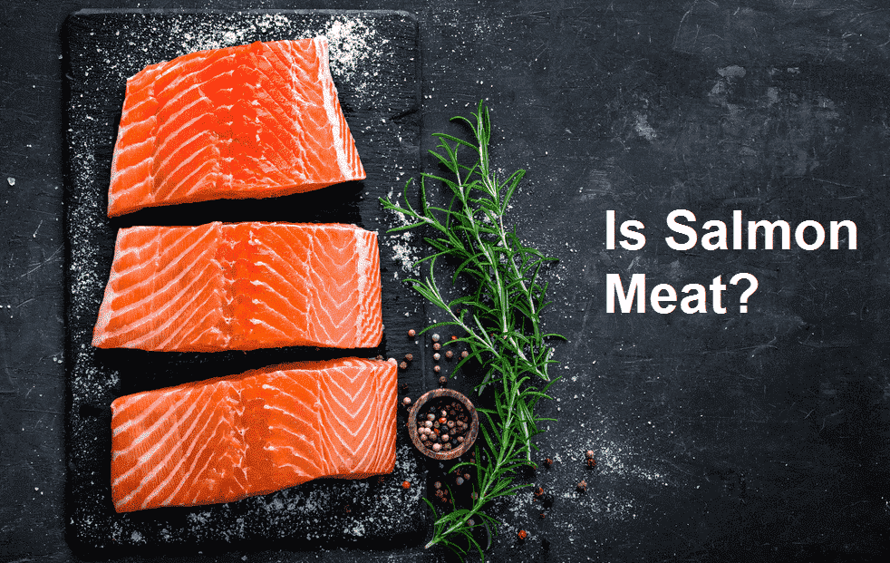 Is salmon considered a meaty fish?