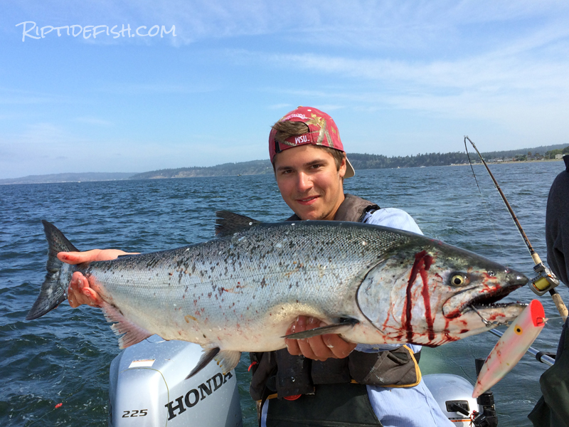 Is salmon fishing open in South Puget Sound?