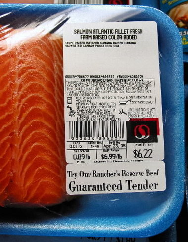 Is salmon mislabeled?