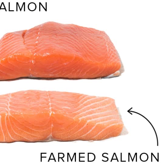 Is salmon safe at 125 degrees?