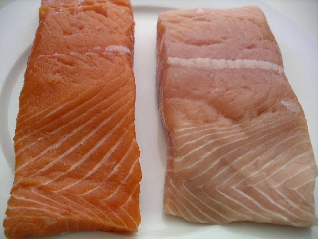 Is Salmon white or red meat?