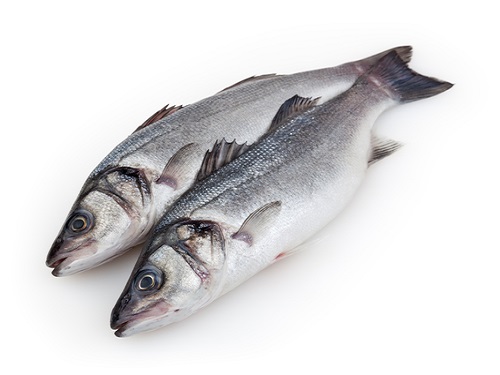 Is sea bass safe to eat?