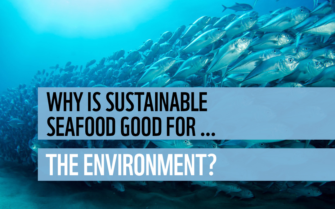 Is seafood good for the environment?