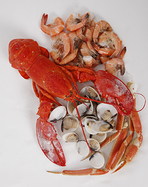 Is shellfish bad for children?