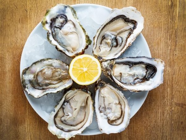 Is shellfish the same as oyster?