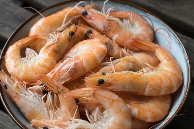 Is shrimp considered a white fish?