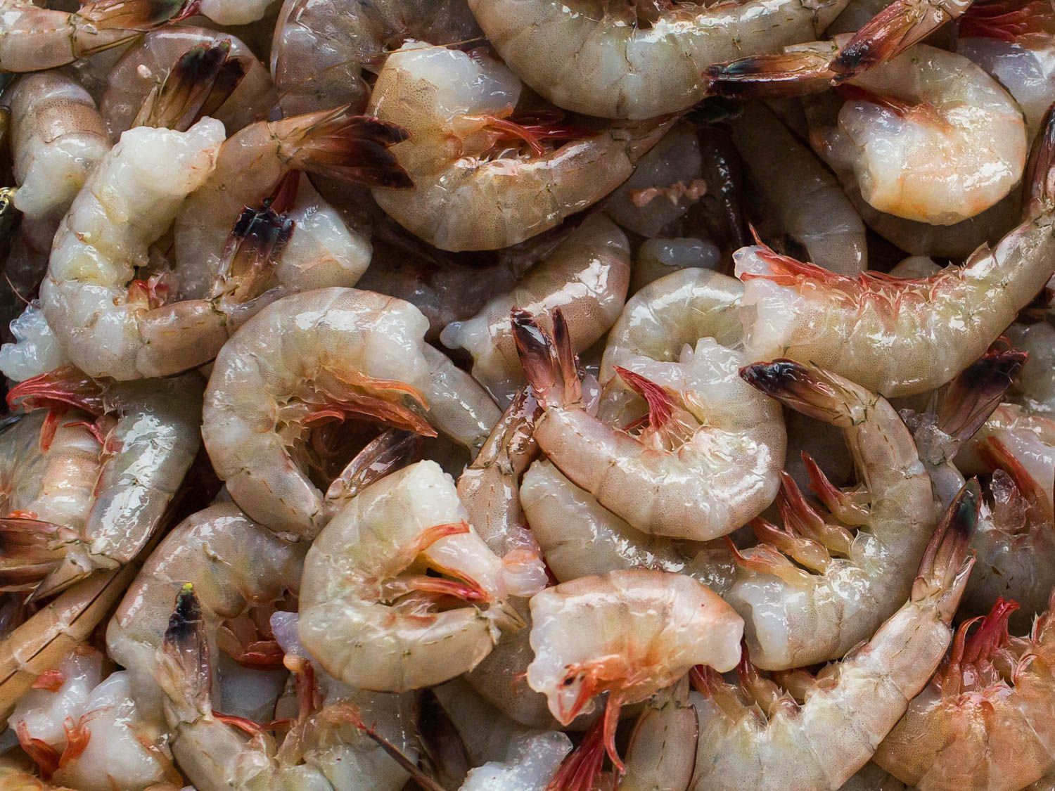 Is shrimp from the market fresh or frozen?